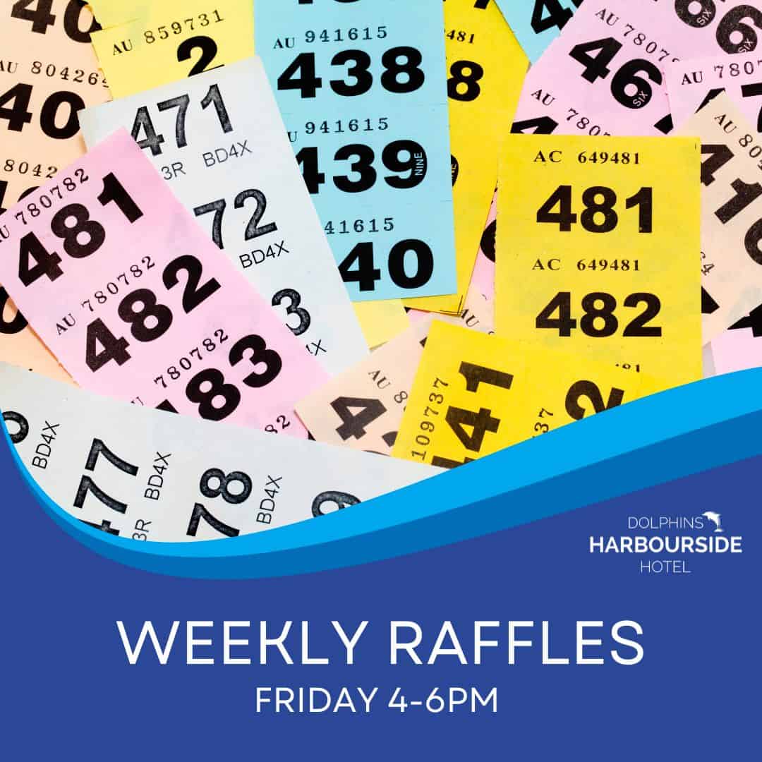 What's On - Dolphins Harbourside Hotel